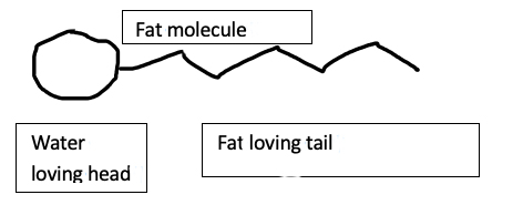 Science Experiments to try at Home – Pouques